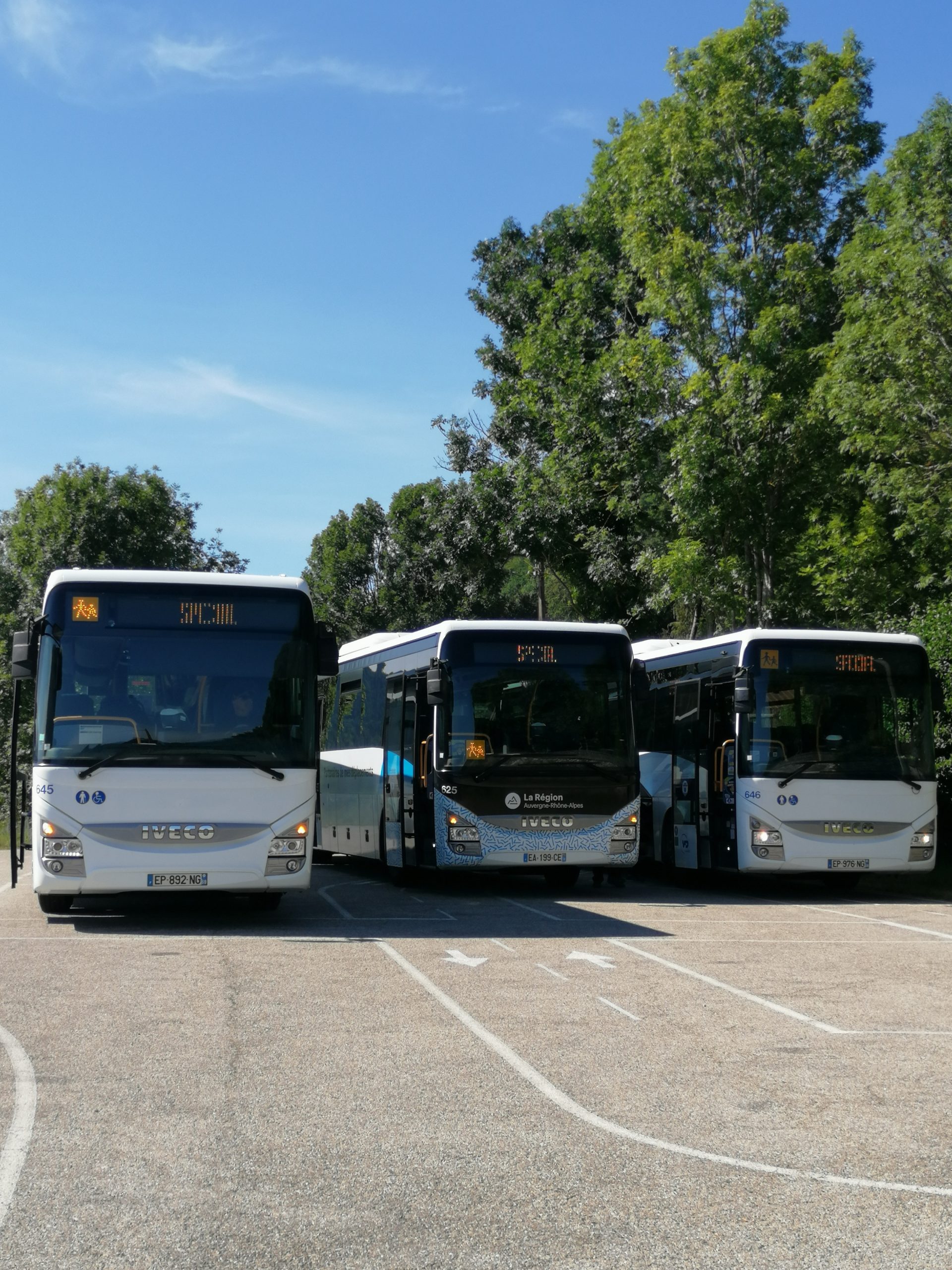 VFD | Acteur du transport routier de voyageurs